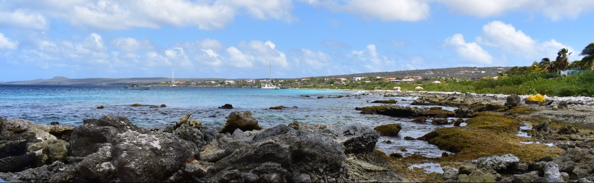 Diving Getaways – Chicken Divers Club